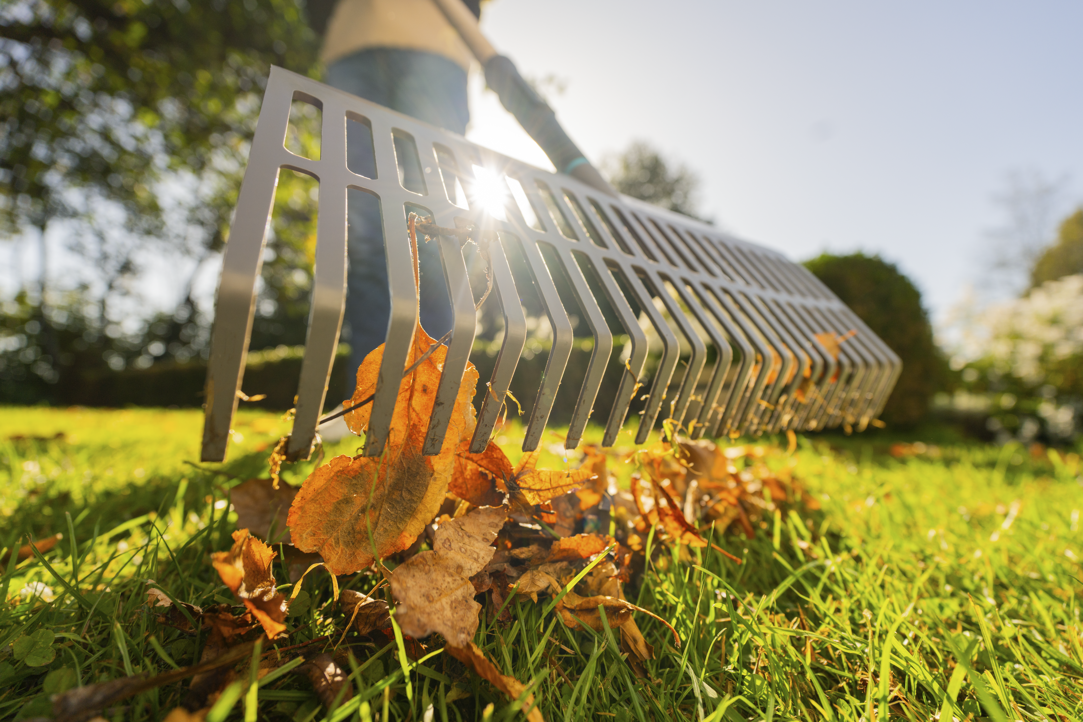 PureLine Lawn Rake, Garden Helpers | GARDENA